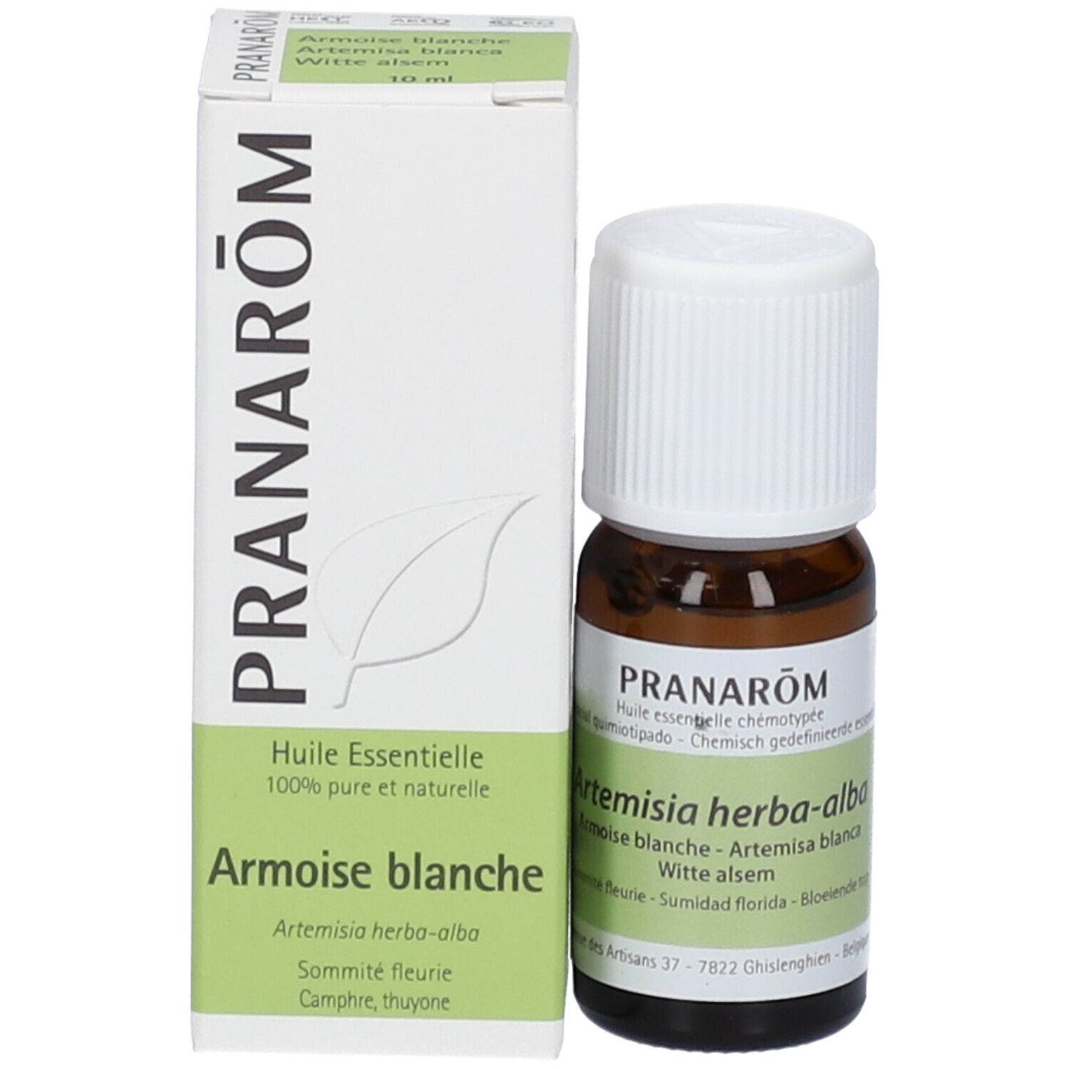 Pranarom Artemisia White 61 Essential Oil 10 ml - Redcare