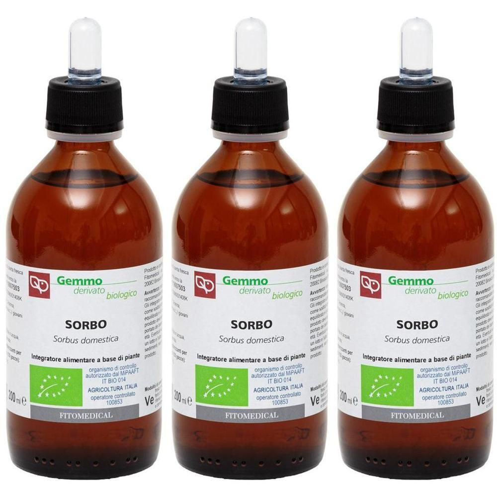 Sorbo Macerato Glicerico 200 Ml Bio 3x200 ml - Redcare