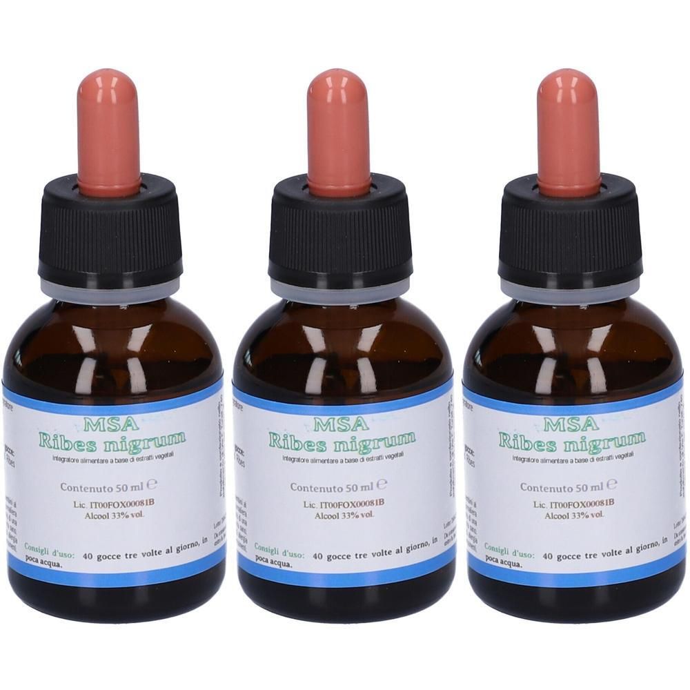 Msa Ribes Nigrum 50 Ml 3x50 ml - Redcare