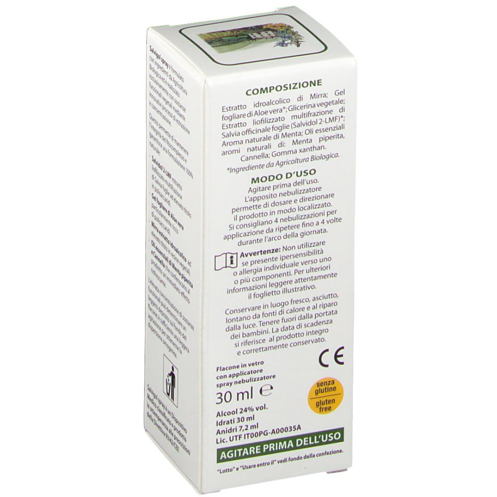 Salvigol Spray Gusto Menta e Cannella 30 ml - Redcare