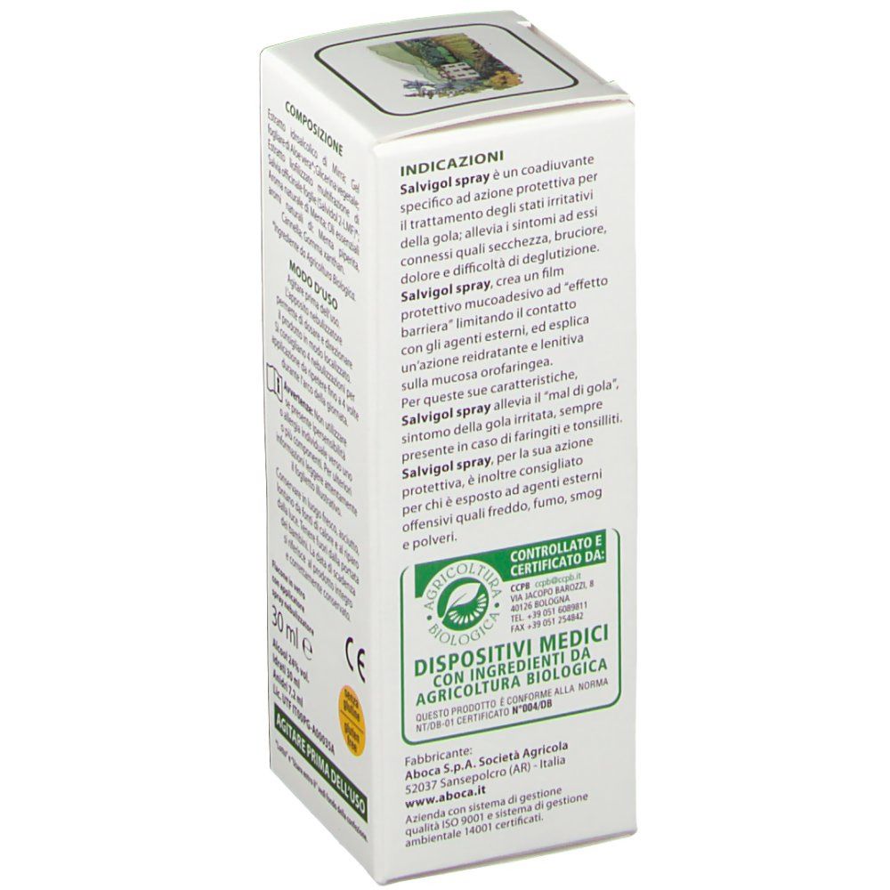 Salvigol Spray Gusto Menta e Cannella 30 ml - Redcare