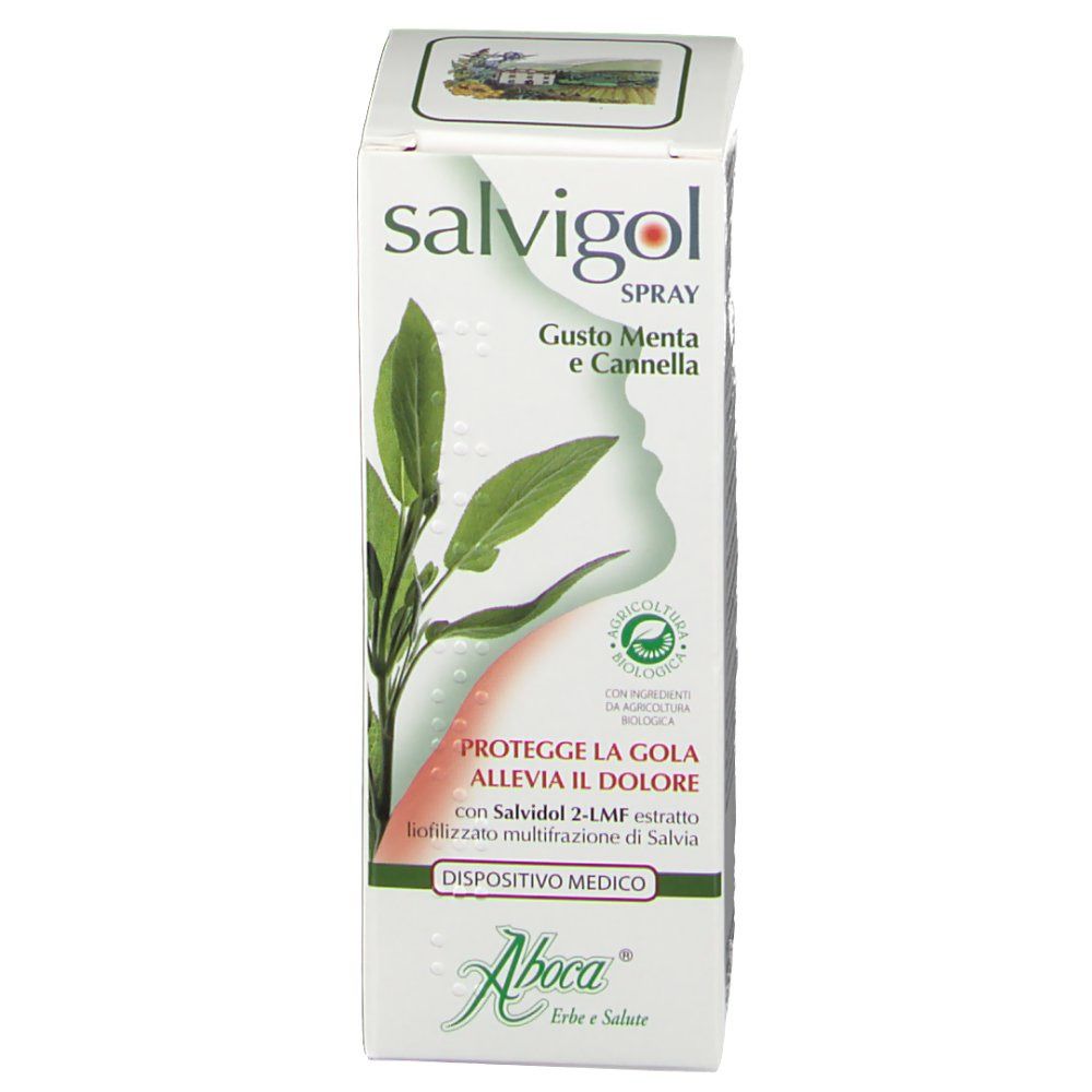 Salvigol Spray Gusto Menta e Cannella 30 ml - Redcare