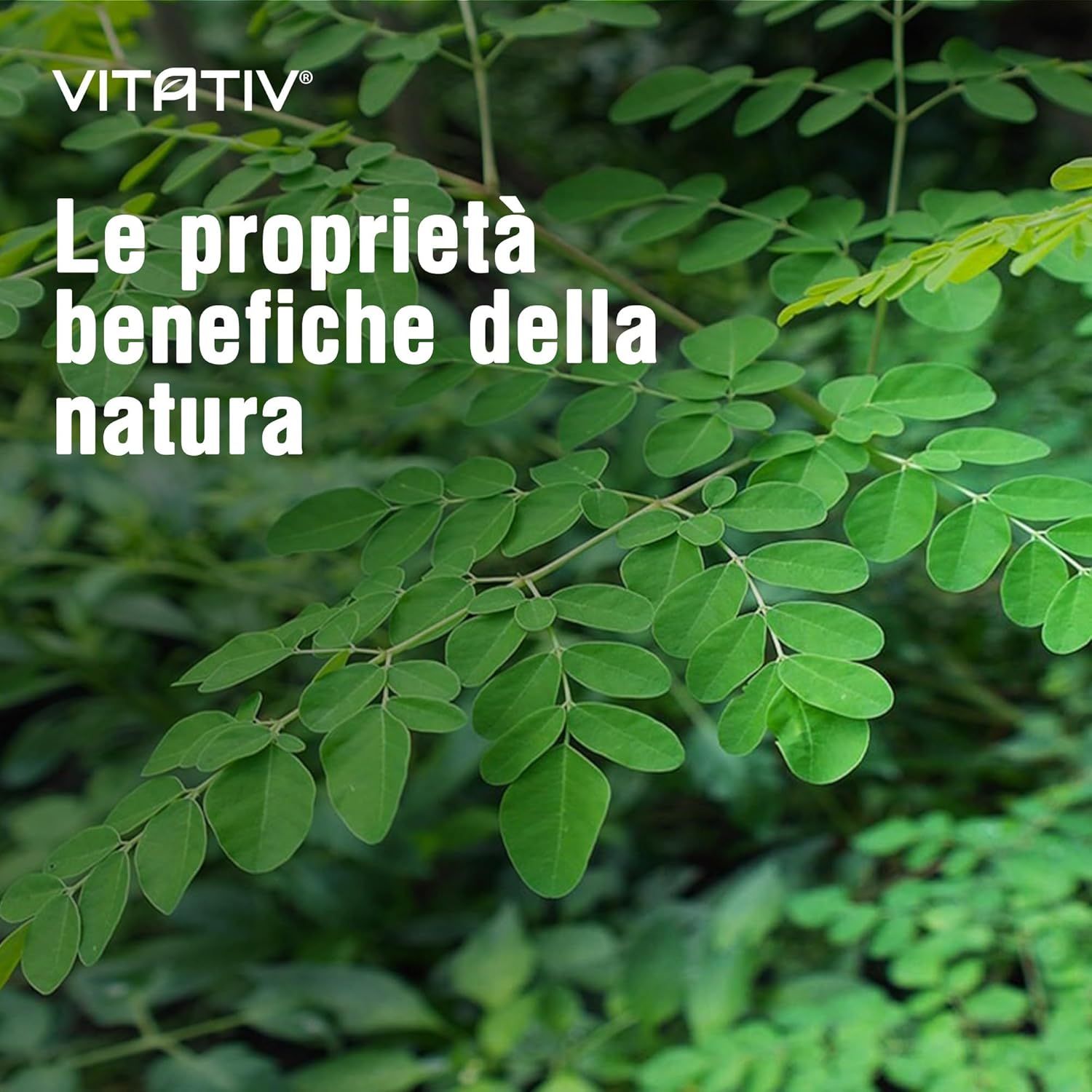 VITATIV® Moringa Oleifera Biologica BIO - 90 Capsule Vegetali da 360 mg ...