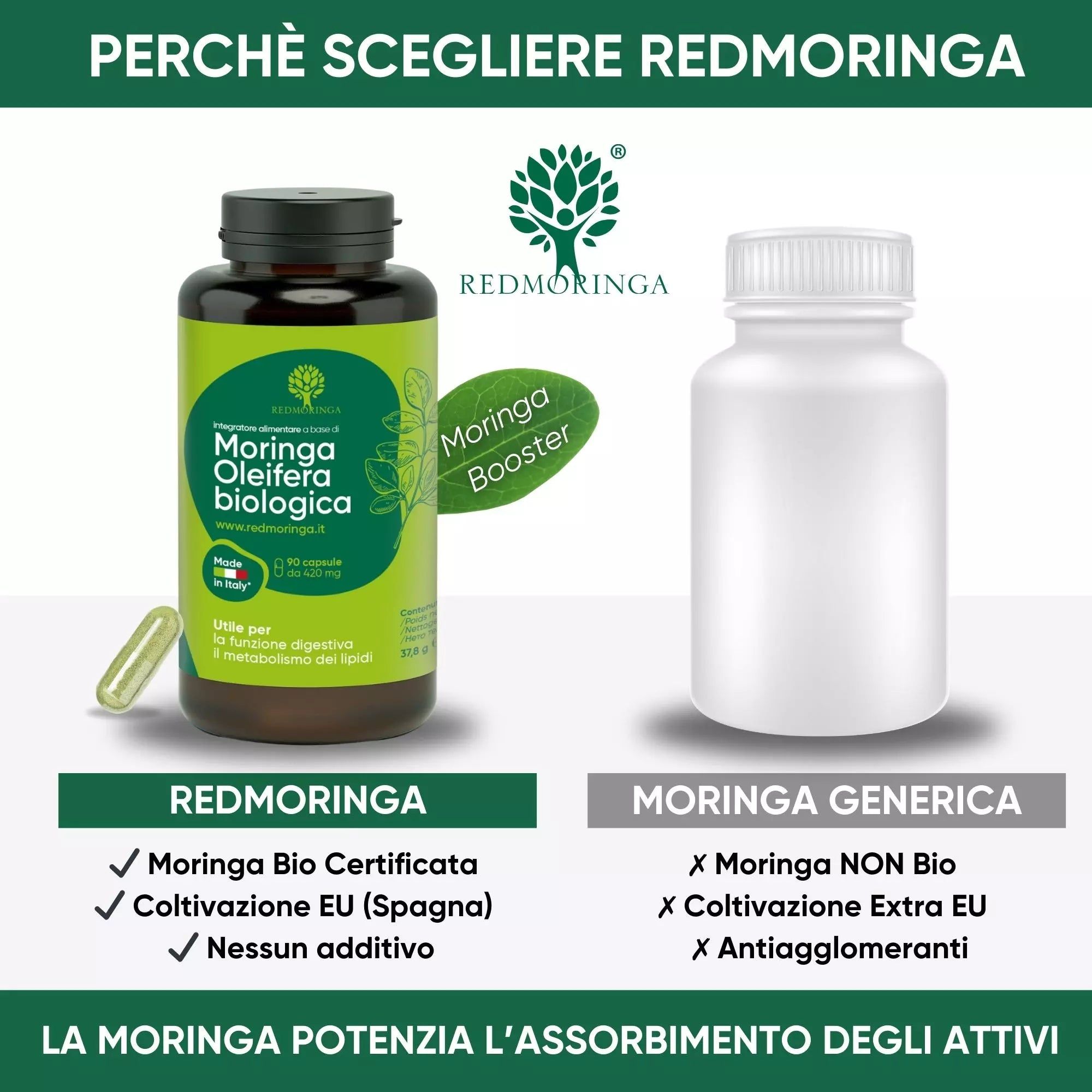 RedMoringa MORINGA BIO 90 Capsule 60 g - Redcare